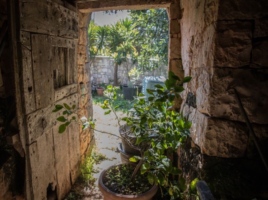 Locorotondo: Guided E-bike Tour with Olive Oil Tasting - What Sets This Tour Apart