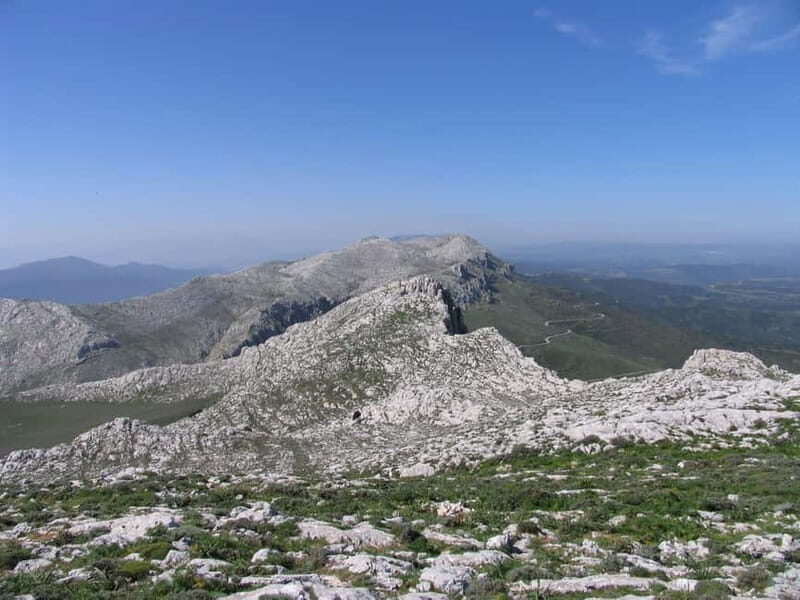 Lodè: trekking on Montalbo - Pricing and Value