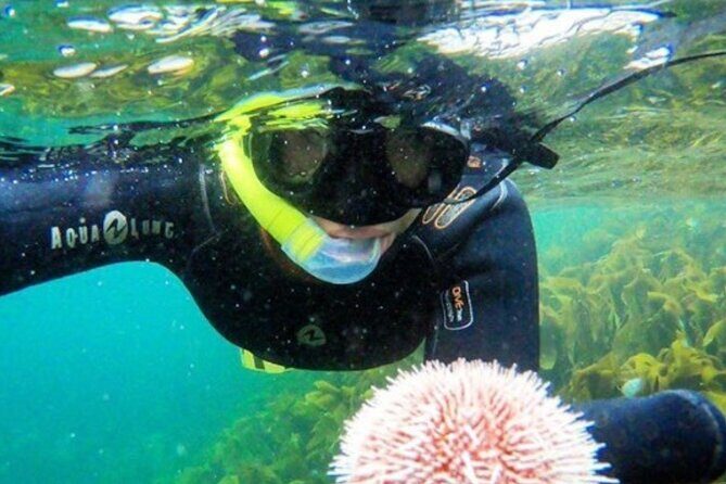 Lofoten Grand Canyon Snorkeling Tour - What to Expect When You Sign Up