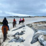 Lofoten: Guided Horse Riding Tour Over Hov and Hovsund - The Itinerary and Scenic Highlights