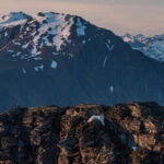Lofoten Islands: Guided Hiking Into the Wilderness-Easy Tour - What Does the Tour Include and Exclude?