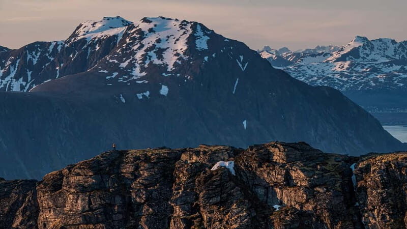 Lofoten Islands: Guided Hiking Into the Wilderness-Easy Tour - What Does the Tour Include and Exclude?