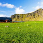 Lofoten Islands: Road Bike Scenic Tour - Who’s This Tour Best For?