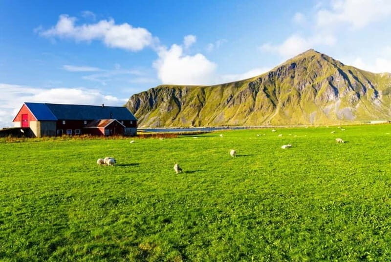 Lofoten Islands: Road Bike Scenic Tour - Who’s This Tour Best For?