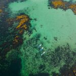 Lofoten Islands: SUP Adventure - Guided Tour - What to Expect During the Tour
