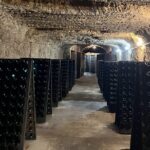 Loire Valley Chambord Castle and Wine Tasting from Paris - What Sets This Tour Apart