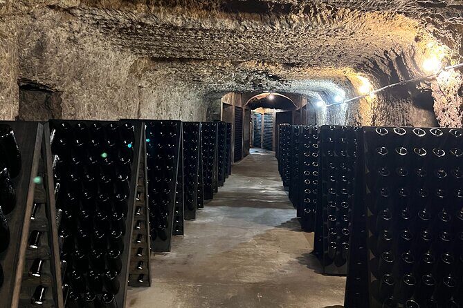 Loire Valley Chambord Castle and Wine Tasting from Paris - What Sets This Tour Apart