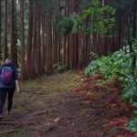 Lomba de São Pedro: Waterfall Hiking Tour with Tea Tasting - Introduction to the Lomba de São Pedro Waterfall Tour