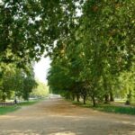 London: 24-Hour Hop-On Hop-Off Bus Pass - What You Can Expect from the Experience