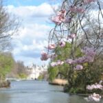 London: 4-Hour Panoramic Tour by Black Taxi - Why Choose a Black Taxi Tour?