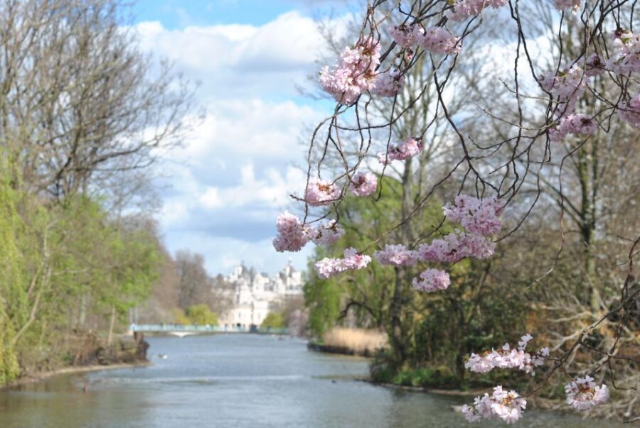 London: 4-Hour Panoramic Tour by Black Taxi - Why Choose a Black Taxi Tour?