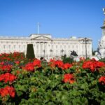 London: British Royalty Walking Tour - Buckingham Palace and the Changing of the Guard (When Scheduled)