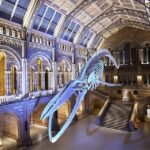 London: Guided Exploration at the Museum of Natural History - The Sum Up