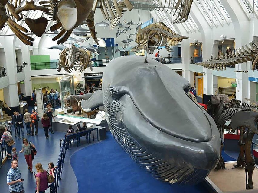 London: Guided Tour of Natural Marvels - What to Expect from the Tour