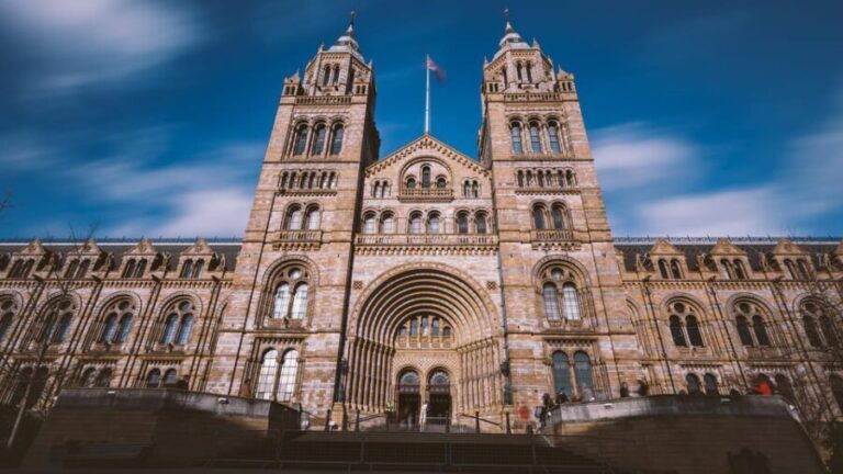 London: Guided Tour of the Natural History Museum - What Makes This Tour Stand Out?