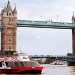 London Harry Potter Tour, St Paul's Cathedral & River Cruise - Practical Details: What You Need to Know