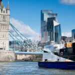 London: Harry Potter Walk, Hop-on Hop-off Bus Tour & Cruise - Who Will Love This Tour?