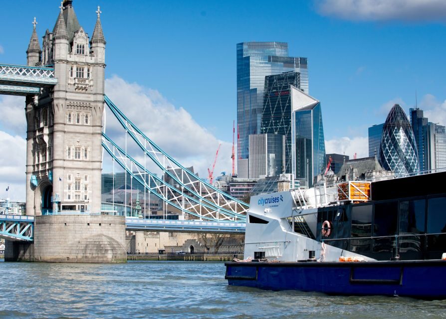 London: Harry Potter Walk, Hop-on Hop-off Bus Tour & Cruise - Who Will Love This Tour?