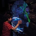 London: Madame Tussauds, London Eye & SEA LIFE Combo Ticket - Who Is This Tour Best For?