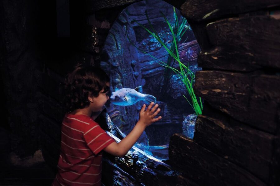 London: Madame Tussauds, London Eye & SEA LIFE Combo Ticket - Who Is This Tour Best For?