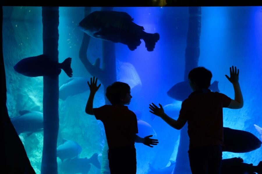 London: Madame Tussauds, SEA LIFE and London Dungeon Entry - Practicalities and Tips for Your Visit