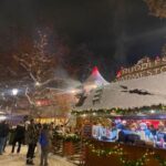 London: Magical Christmas Lights Guided Tour by Private Taxi - An Inside Look at the Tour Experience