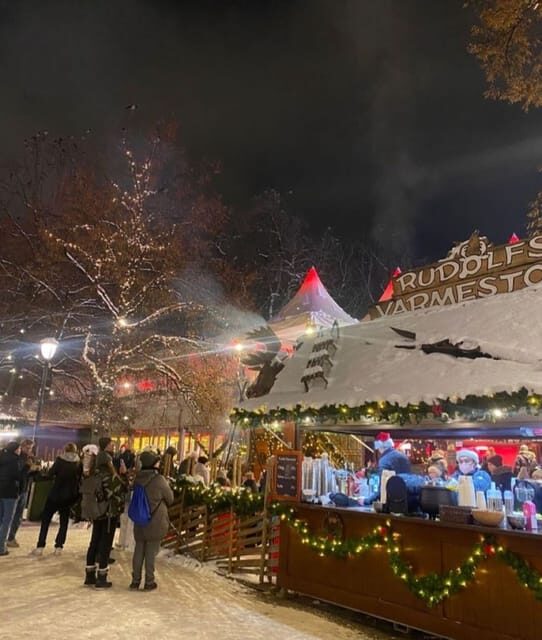 London: Magical Christmas Lights Guided Tour by Private Taxi - An Inside Look at the Tour Experience