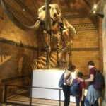 London: Natural History Museum Entry Ticket and Guided Tour - Why This Tour Works Well