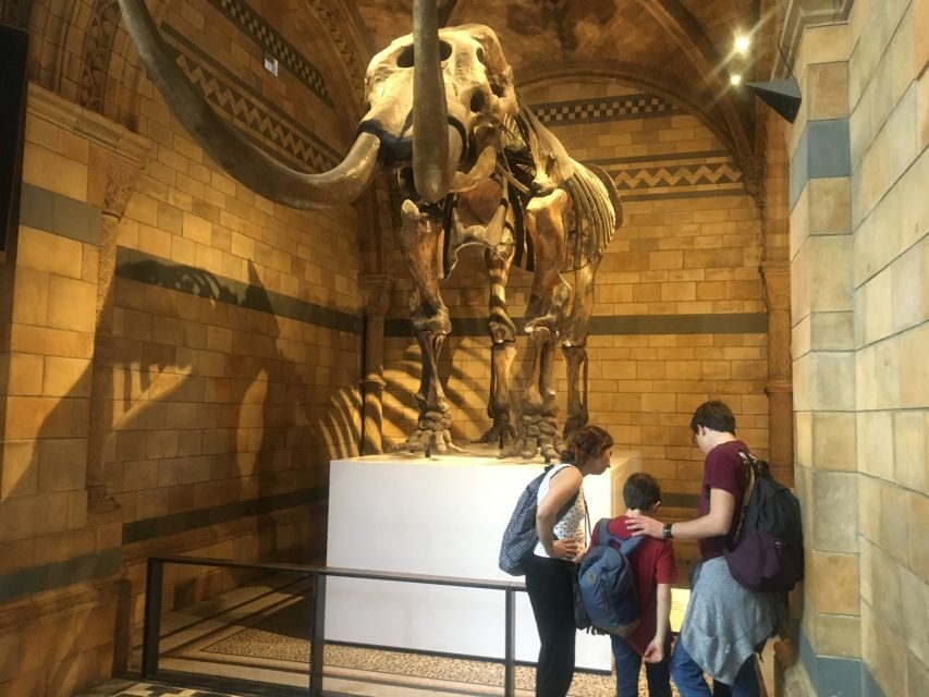 London: Natural History Museum Entry Ticket and Guided Tour - Why This Tour Works Well