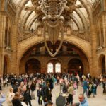London: Natural History Museum Guided Tour - Who Is This Tour For?