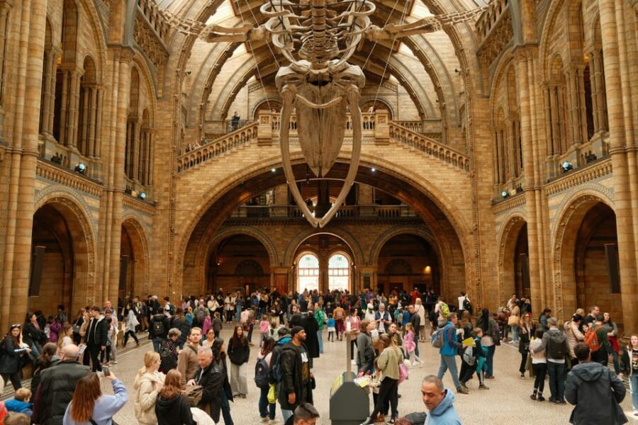 London: Natural History Museum Guided Tour - Who Is This Tour For?