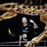 London: Natural History Museum Guided Tour & Afternoon Tea - Breaking Down the Itinerary