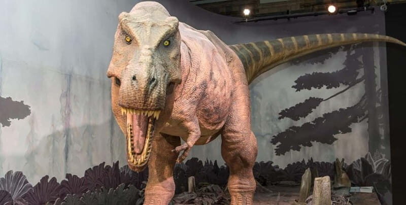London: Natural History Museum Guided Tour - What Makes This Tour Stand Out?