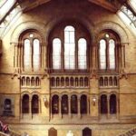 London Natural History Museum Private Tour for Kids & Families - Why Choose the London Natural History Museum Private Tour?