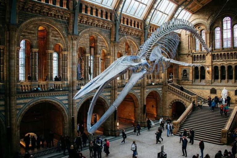 London: Natural History Museum Reserved Entry & Audio Tour - The Experience Breakdown