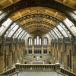 London: Natural History Museum Tour - Practical Details and How the Tour Fits Into Your Visit