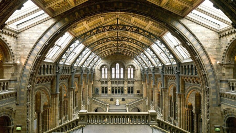 London: Natural History Museum Tour - Practical Details and How the Tour Fits Into Your Visit