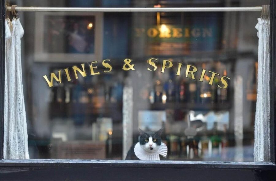 London: Private Secret Pub Walking Tour + beer all inclusive - A Well-Rounded Itinerary