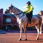 London: Royalty Walking Tour with Changing of The Guard - In-Depth Itinerary Breakdown