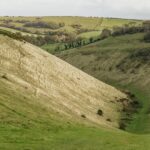 London: South Downs White Cliffs Day Trip with Train Tickets - What Travelers Say: Authentic Experiences and Guides