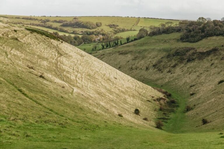 London: South Downs White Cliffs Day Trip with Train Tickets - What Travelers Say: Authentic Experiences and Guides