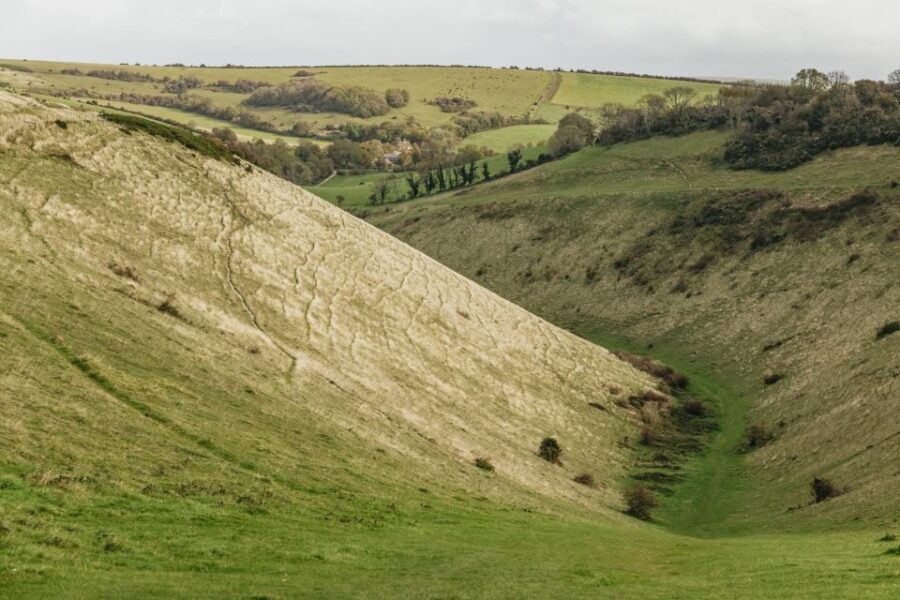 London: South Downs White Cliffs Day Trip with Train Tickets - What Travelers Say: Authentic Experiences and Guides