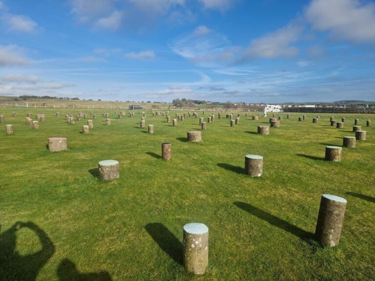 London: Stonehenge and Woodhenge Private Black Cab Tour - FAQ