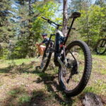 Lorica: e-bike rental - Discovering the Sila National Park on E-Bikes