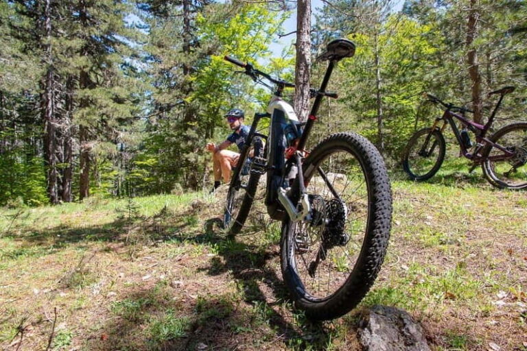 Lorica: e-bike rental - Discovering the Sila National Park on E-Bikes
