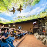 Loro Parque and Siam Park Combined Admission Tickets - The Practicalities