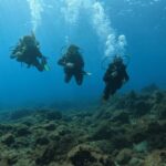 Los Cristianos: Basic Diver Course - Why This Tour Works for Travelers