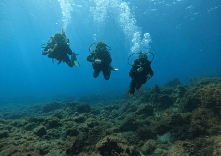 Los Cristianos: Basic Diver Course - Why This Tour Works for Travelers