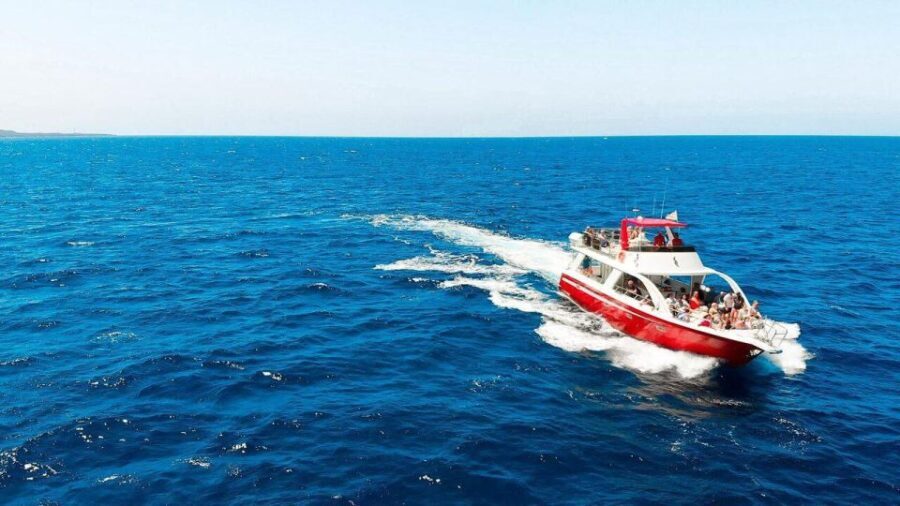 Los Cristianos: Eco Yacht Whale Watching Tour at Sunset - Why Choose This Whale Watching Sunset Tour?