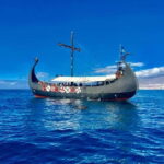 Los Cristianos: Whale Watching Cruise w/Swim Stop & Drinks - Diving Deeper into the Experience